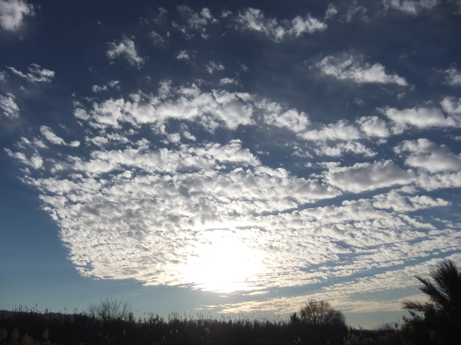 El Tiempo de la Huerta de Murcia: 24/12/12: Cirros y altocúmulus floccus