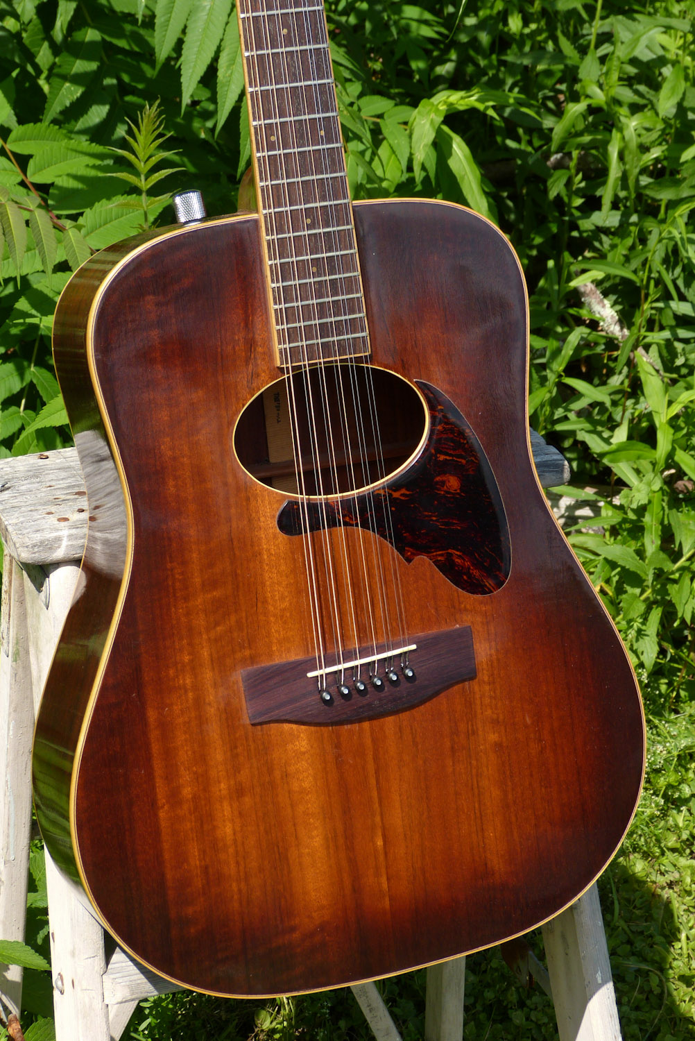 1980 Daion The 80 12-String Dreadnought Guitar