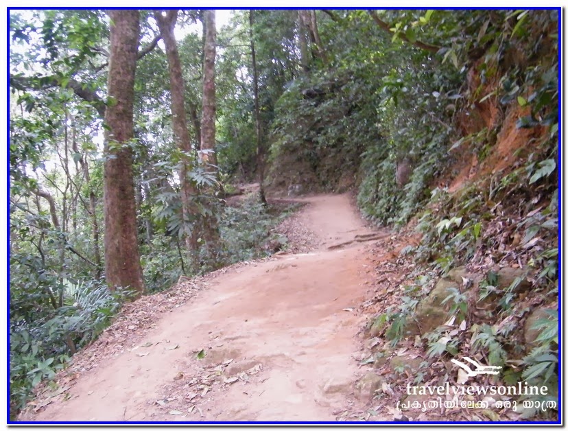 പ്രകൃതിയിലേക്ക് ഒരു യാത്ര (a travel towards NATURE): PULLUMEDU a unique ...