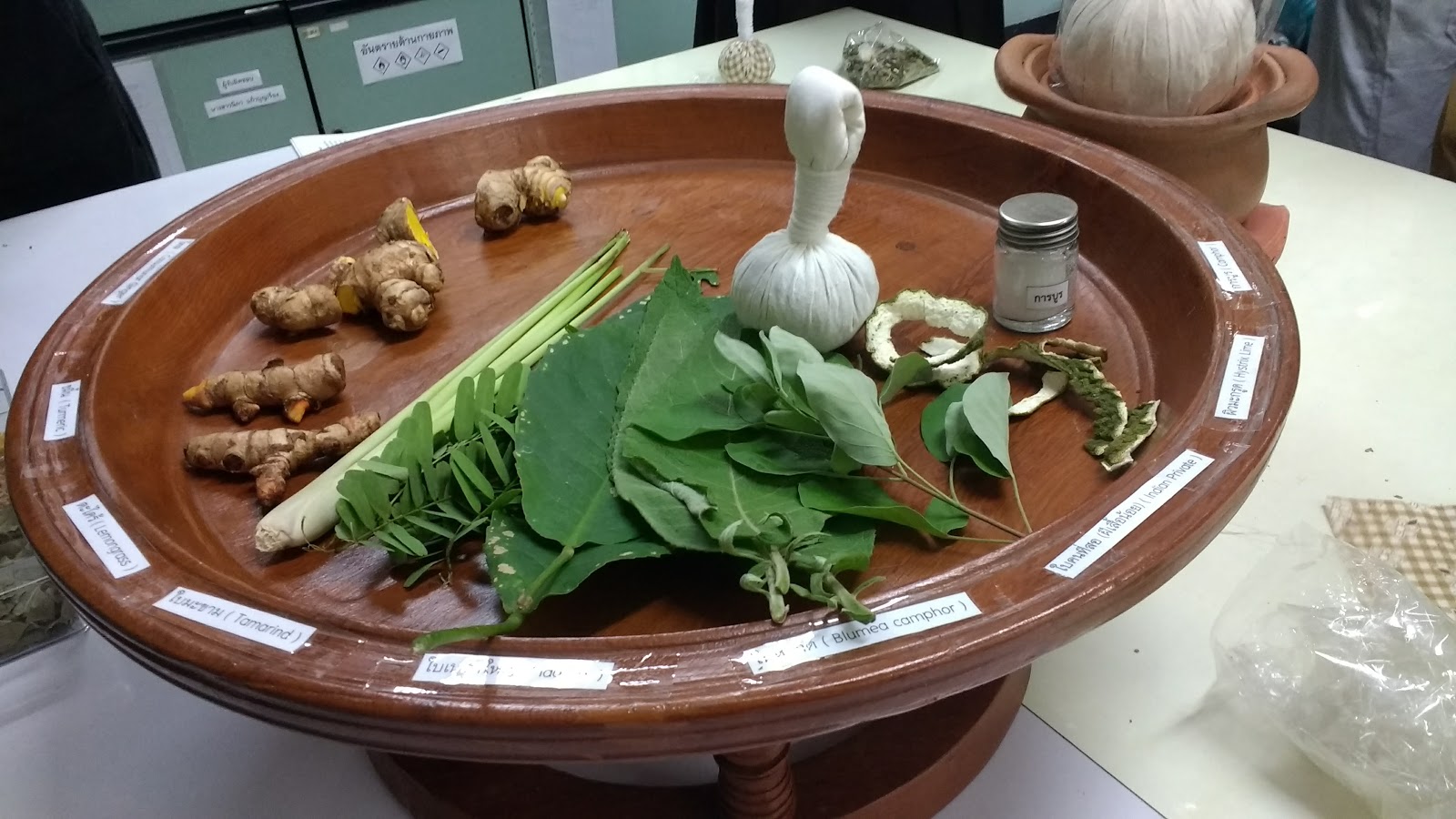 Thailand International APPE Elective 2016: UNE and WNE Colleges of ...