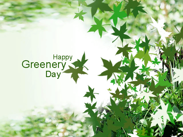 Greenery Day Wallpapers