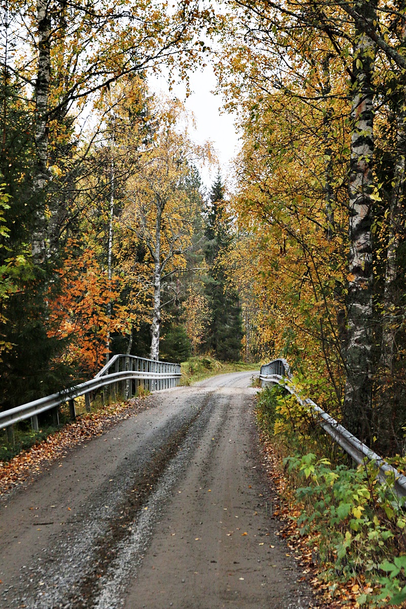 Täyttä elämää: Syyskuvia