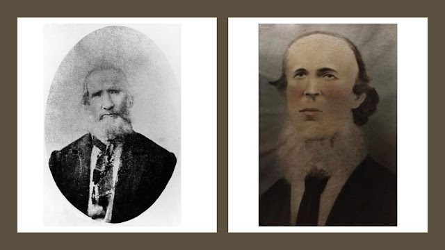 Denizens of Oolong Creek