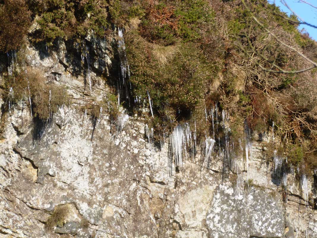 Soggibottom: Girl Rona in Teignmouth and Dartmoor -3 deg c.