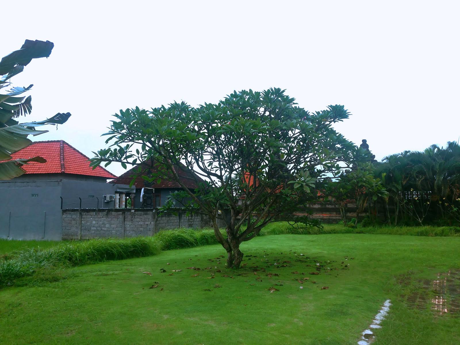 Art and Nature of Photography and Graphic Design Images Gallery ...