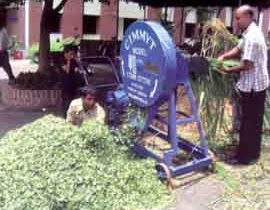 Goat Farming: Silage Making Steps in Goat Farming