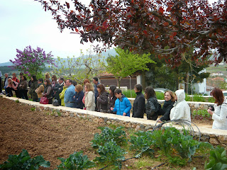 ΣΧΟΛΙΚΟΙ ΛΑΧΑΝΟΚΗΠΟΙ : ΟΙ ΚΗΠΟΙ ΤΩΝ ΣΧΟΛΕΙΩΝ ΤΗΣ Δ/ΣΗΣ Β/ΘΜΙΑΣ ΕΚΠ/ΣΗΣ ...