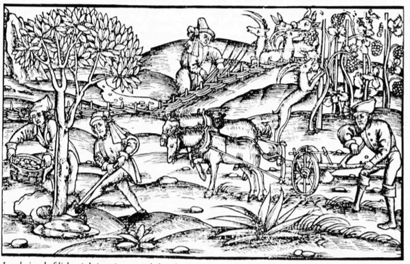 Prähistorisches Europa: Europäische Feldterrassen 2000 Jahre älter als ...