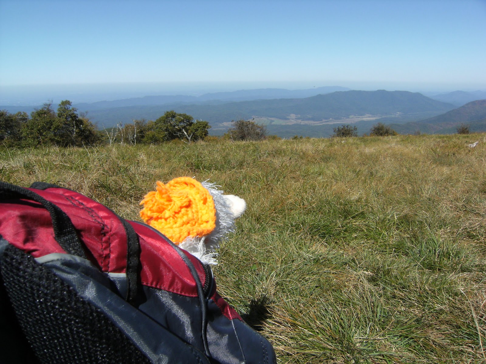 GSMNP - HIKER: Hike to Gregory Bald in the GSMNP