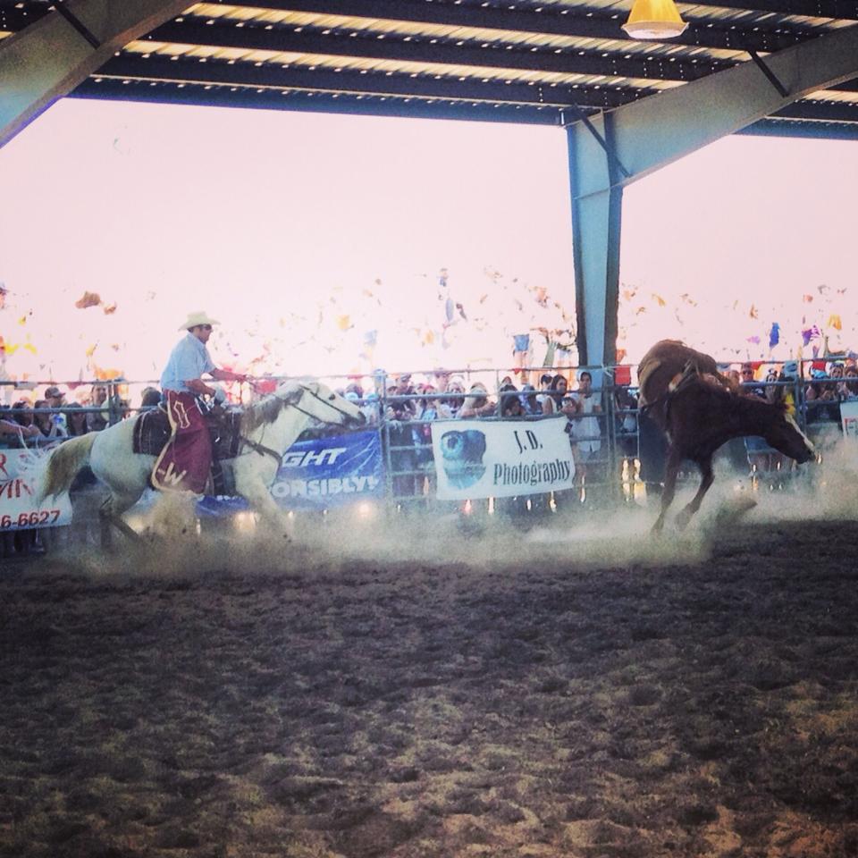 honey and horseshoes: The Dirt is Flying