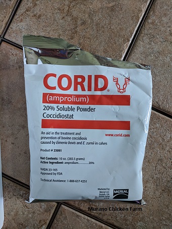 Treating coccidiosis in chicks - Murano Chicken Farm