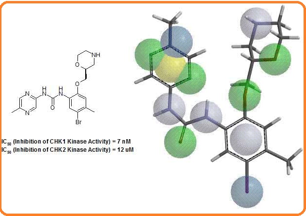 Modern Medicines: Drugs in Clinical Pipeline: LY2603618 | Kinase ...
