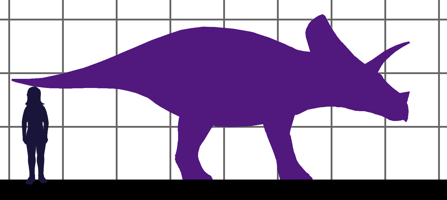 Criptozoologia e Criacionismo - Felipe de Souza Lima: As Serpentes Aladas