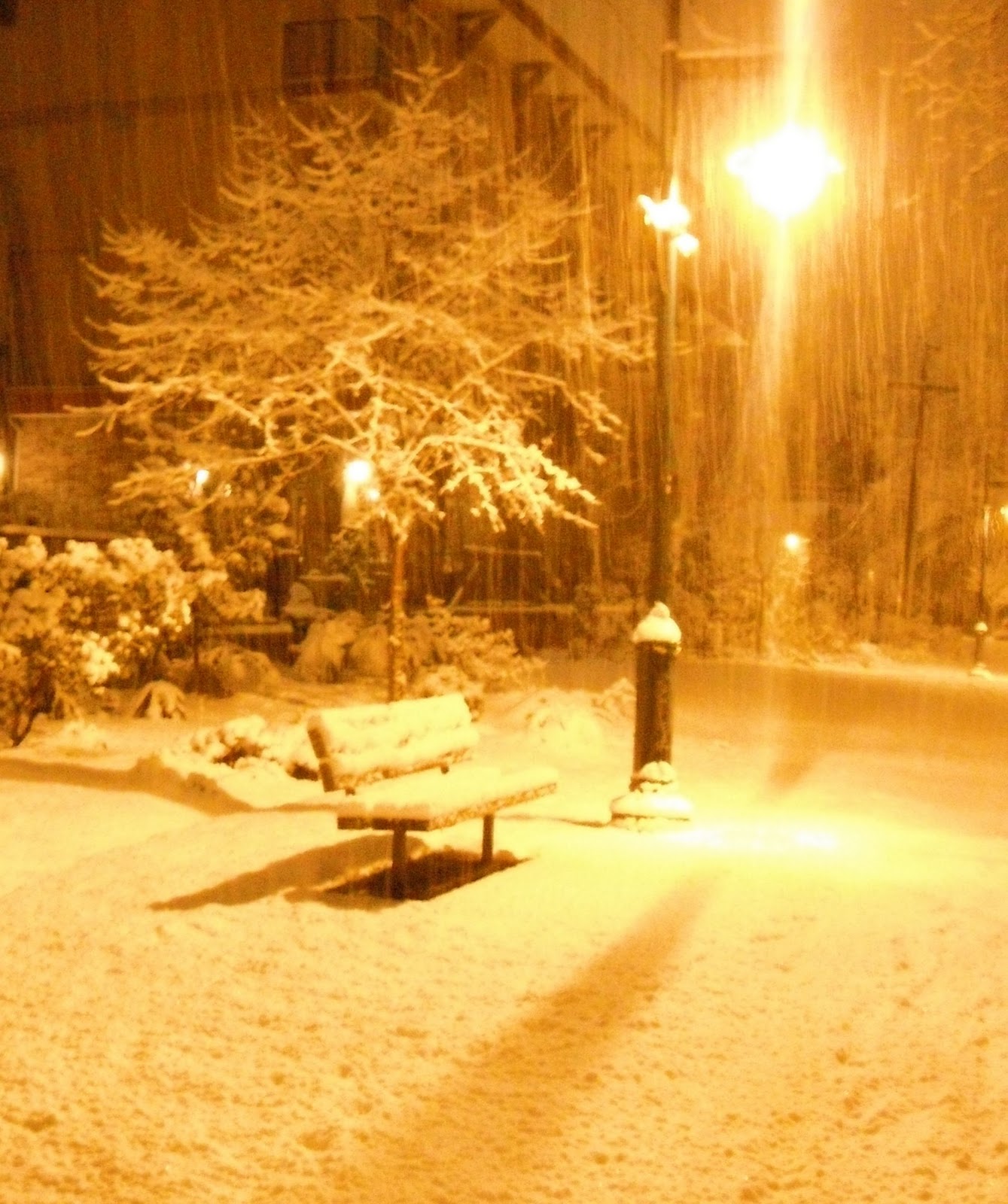 stormidae: first snow: night shots