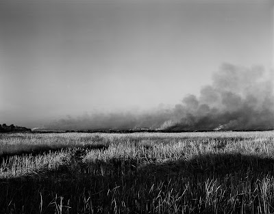 RockScotch: Mutable Fire