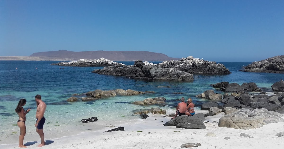 CHILE- CALDERA (Bahía Inglesa y Playa la Virgen)