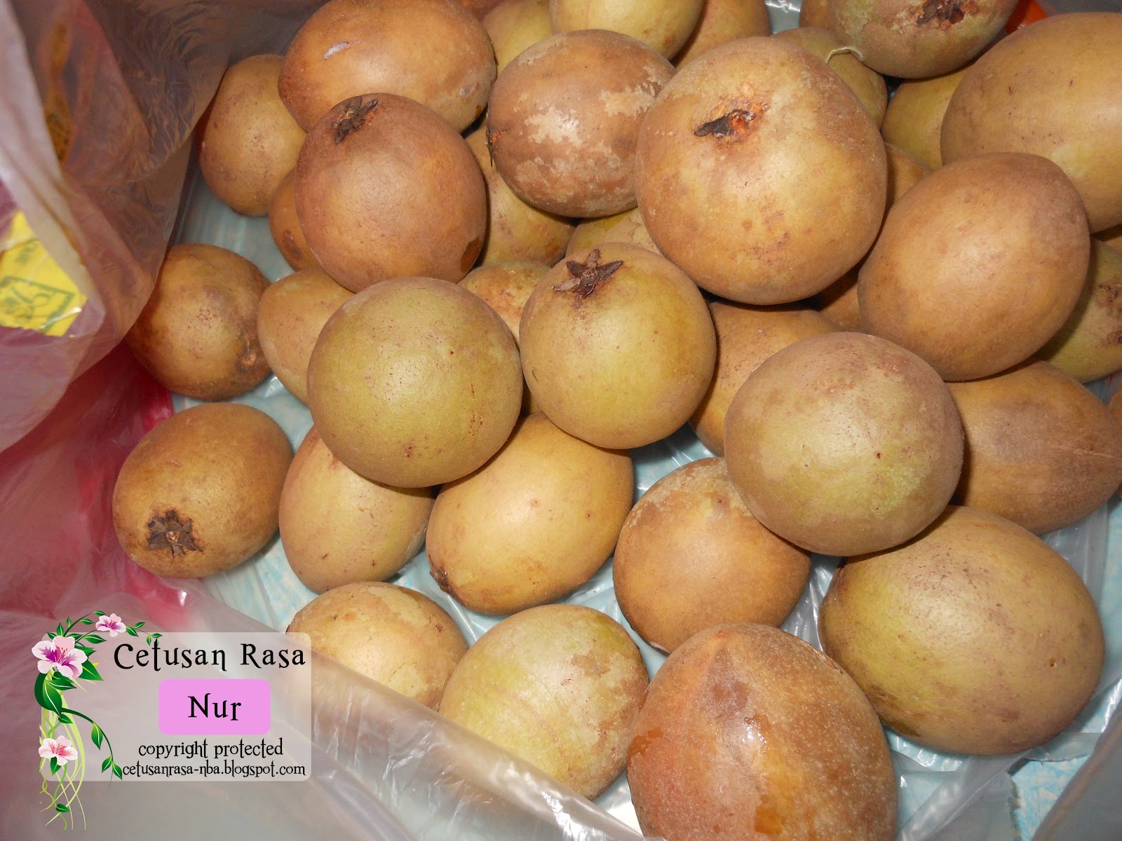 Cetusan Rasa: Khasiat Ciku