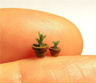 M.Z's Site: Pasu bunga yang terkecil di dunia