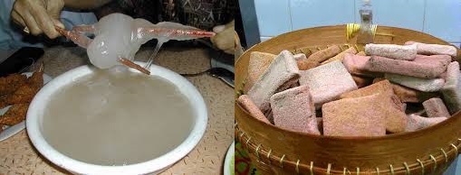 Pohon Sagu | Media Papua Barat