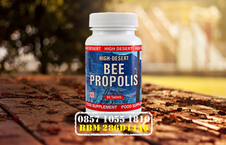 Bee Propolis Antioksidan Antivirus Antibakteri Antijamur | Produk HDI