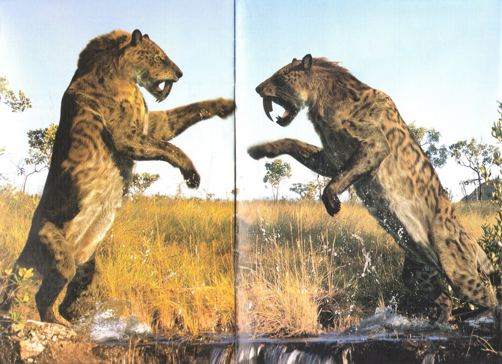 Historia - La Salle: Megafauna en América