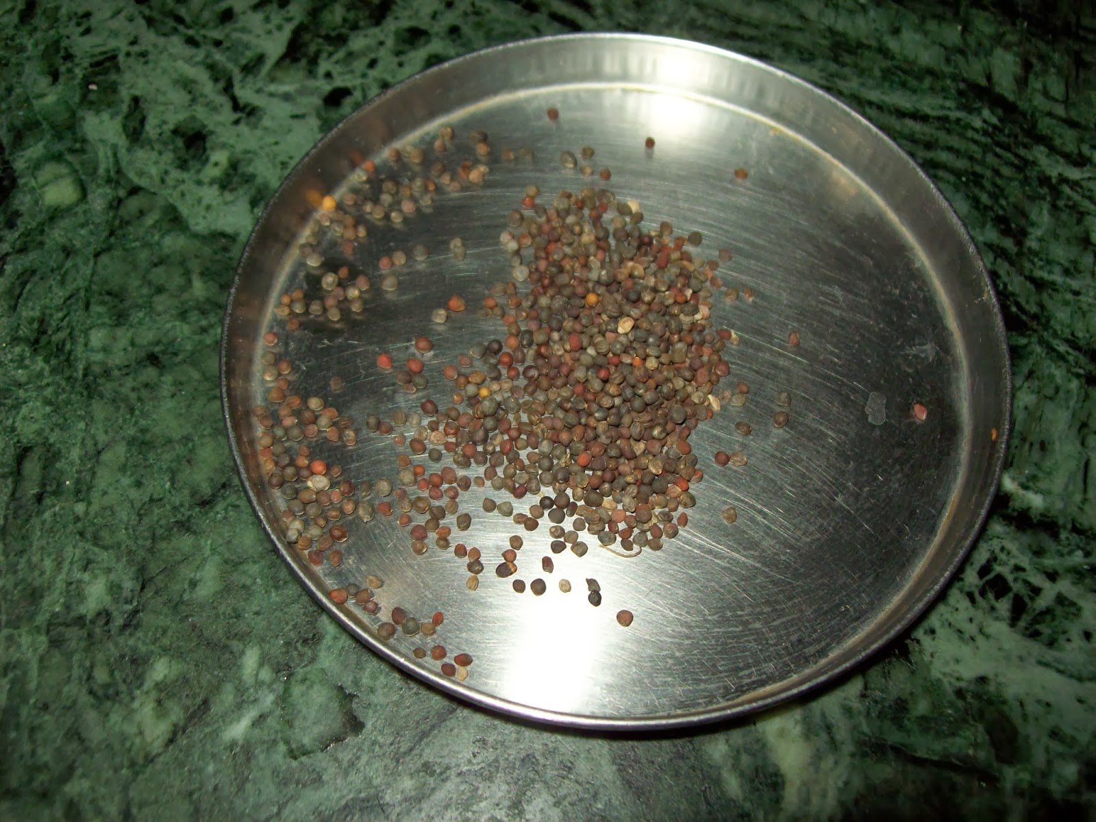 CHINAR SHADE : GREEN LEAFY HAAK ( COLLARD GREENS ) AND KASHMIRIS