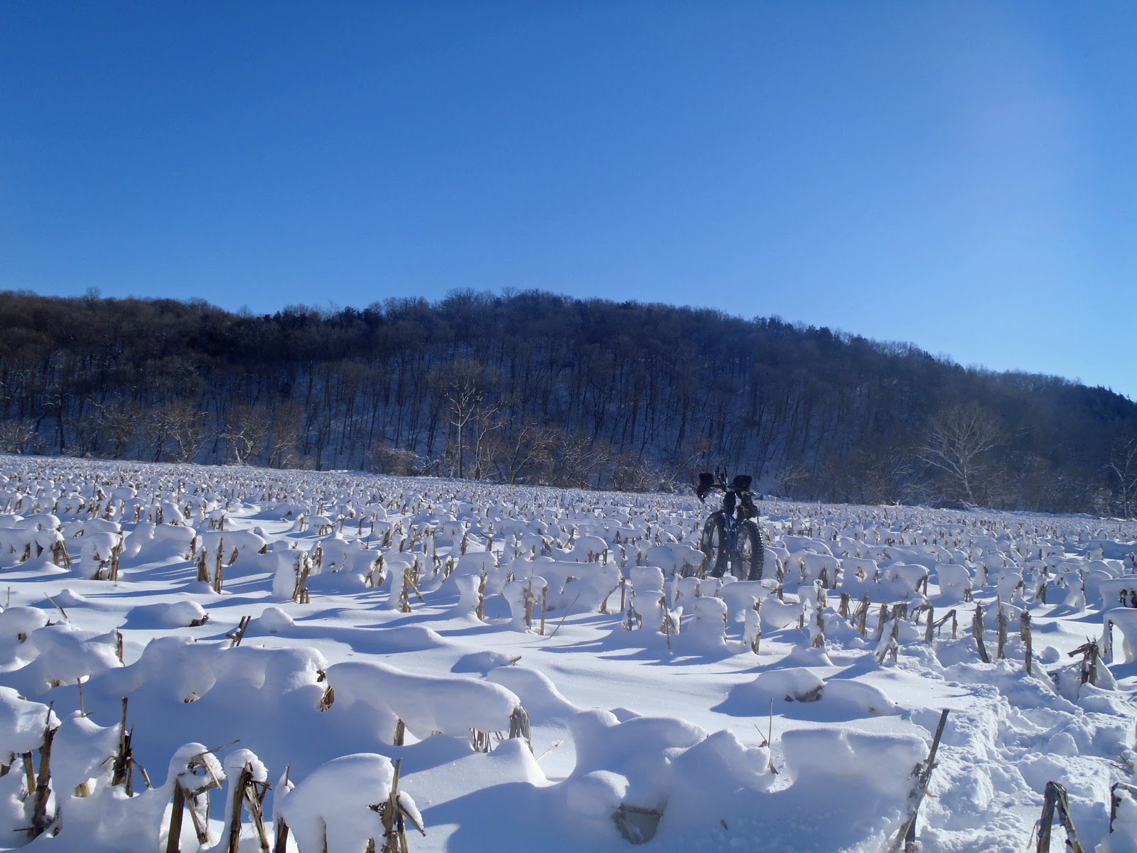 Bicycling Is Proof That God Loves Us And Wants Us To Have Fun: FROZEN ...