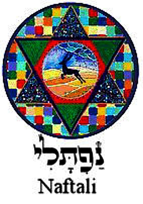 The Star of David: The 12 Star of David Emblems of the 12 Tribes of Israel