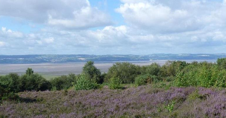 Wirral Wildlife Blog: Support Heswall Dales!