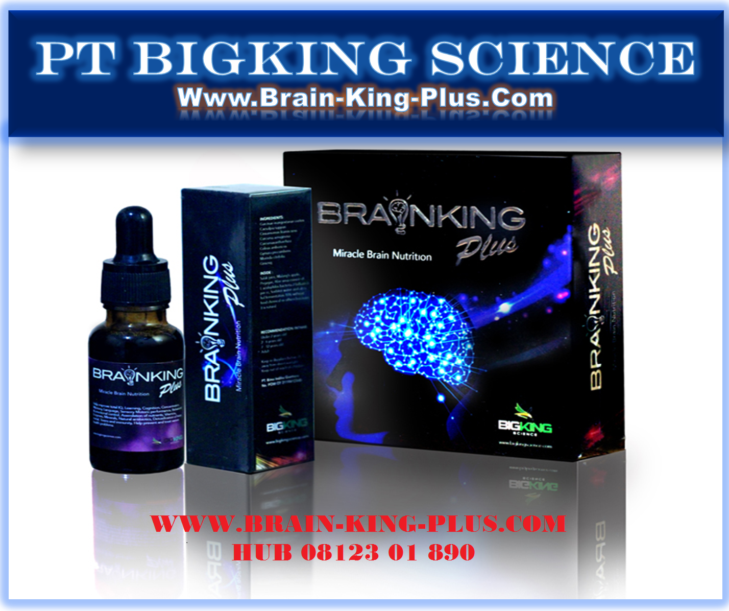 Brainking Plus | Brainking Plus Indonesia | Manfaat Brainking Plus ~ PUSAT BRAINKING PLUS CALL ...