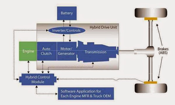 The Exiled Prince: RIDING THE GREEN FROG BUS