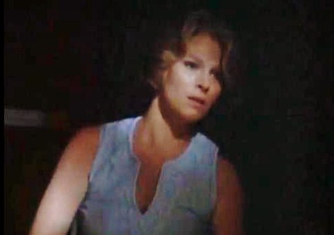 John Kenneth Muir's Reflections on Cult Movies and Classic TV: Cult-TV ...