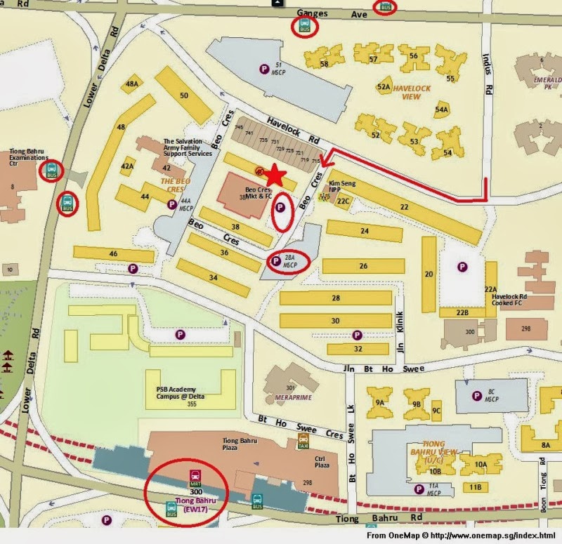 MaoMao Eats!: Hainanese Curry Rice (Beo Crescent)