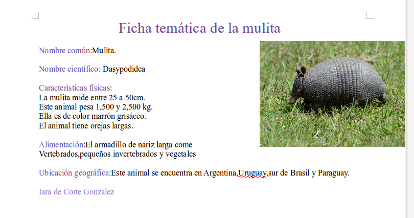 Descubriendo Bichos: Mulita