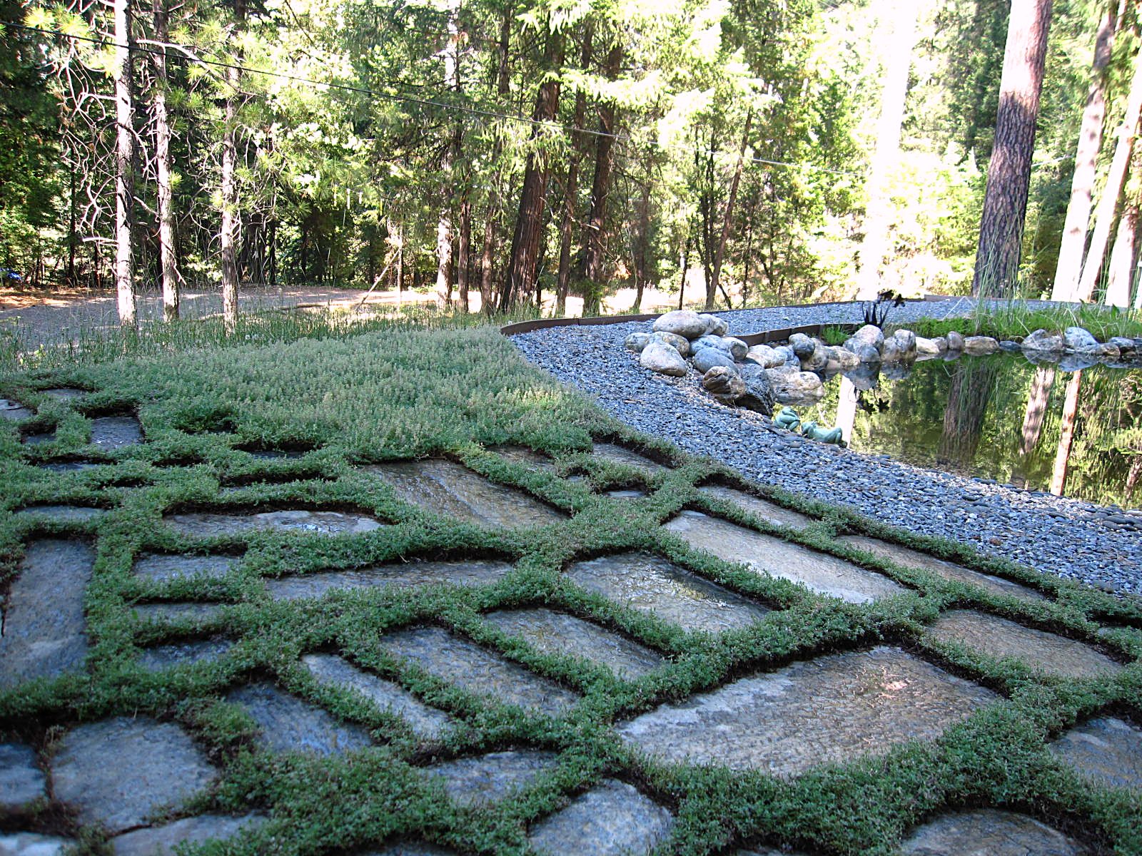 Createology: Creativity in Nature...