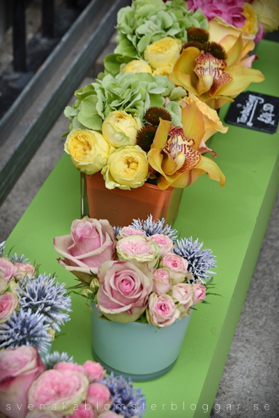 Neil Strain's Flower Lounge | Svenska Blomsterbloggar: Neil Strain's ...