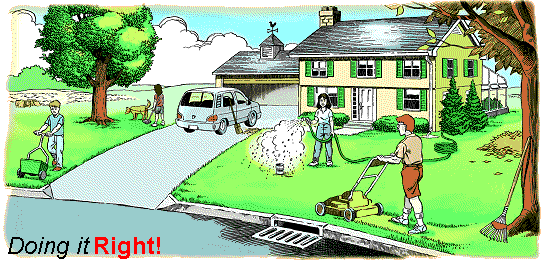 How to Maintain a healthy environments Around The House - LondonHealth