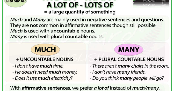 English Immersion Program : Expressions of quantity