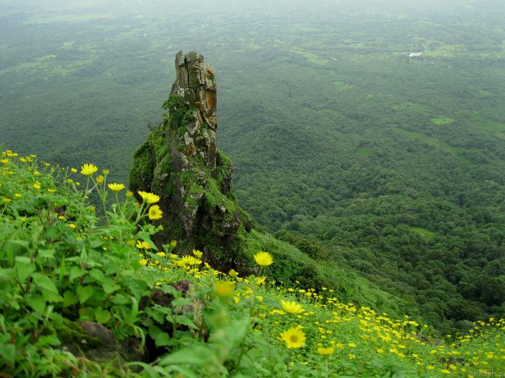 Sagargad fort | Konkankatta.in