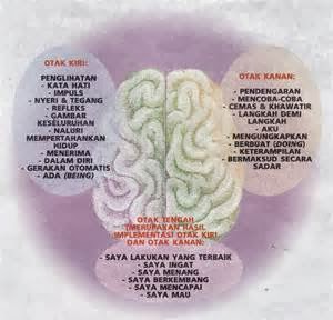 PANDUAN MATEMATIK UNTUK KANAK-KANAK.: PERANAN OTAK KANAN DAN OTAK KIRI ...
