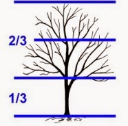 Save Berwyn Trees: Raising