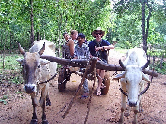 Cambodia E-Visa Blog: TRANQUIL ESCAPE WITH CHAMBOK COMMUNITY BASED ECO ...