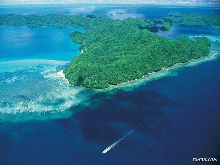 Colours of Life...: Beautiful Nature At Palau