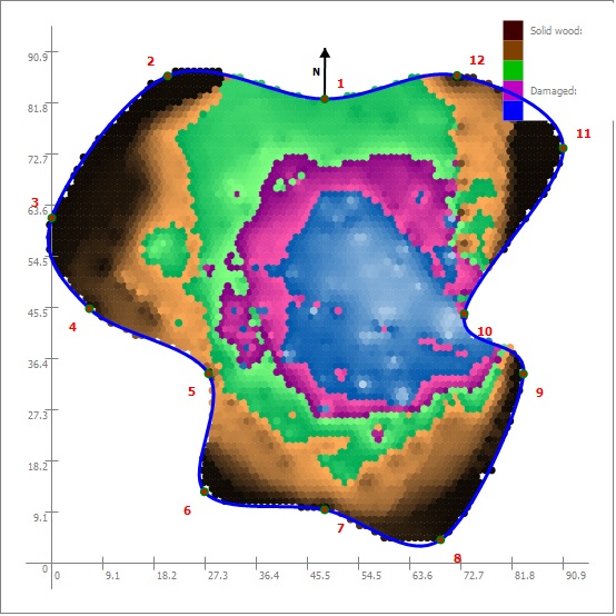 Fred Janes Consulting Arborist: Tree assessment and Picus Sonic ...