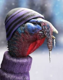 Stop Don't Quit: Cold Turkey: How To Stop Smoking Now (but don't quit)