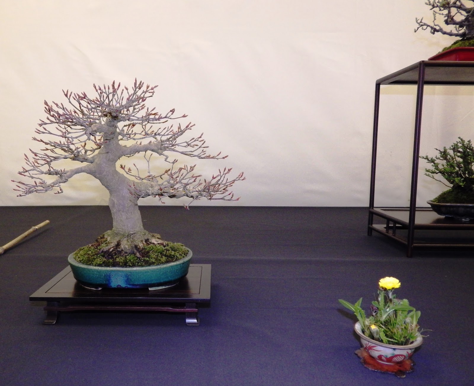 Bespoke Bonsai Stands
