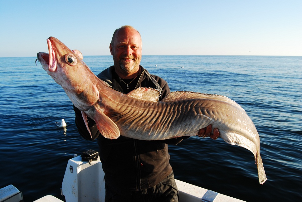 Team Garmin / ABU: 10-Gradarn