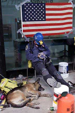 The Doggie House PR: The Dogs from 911