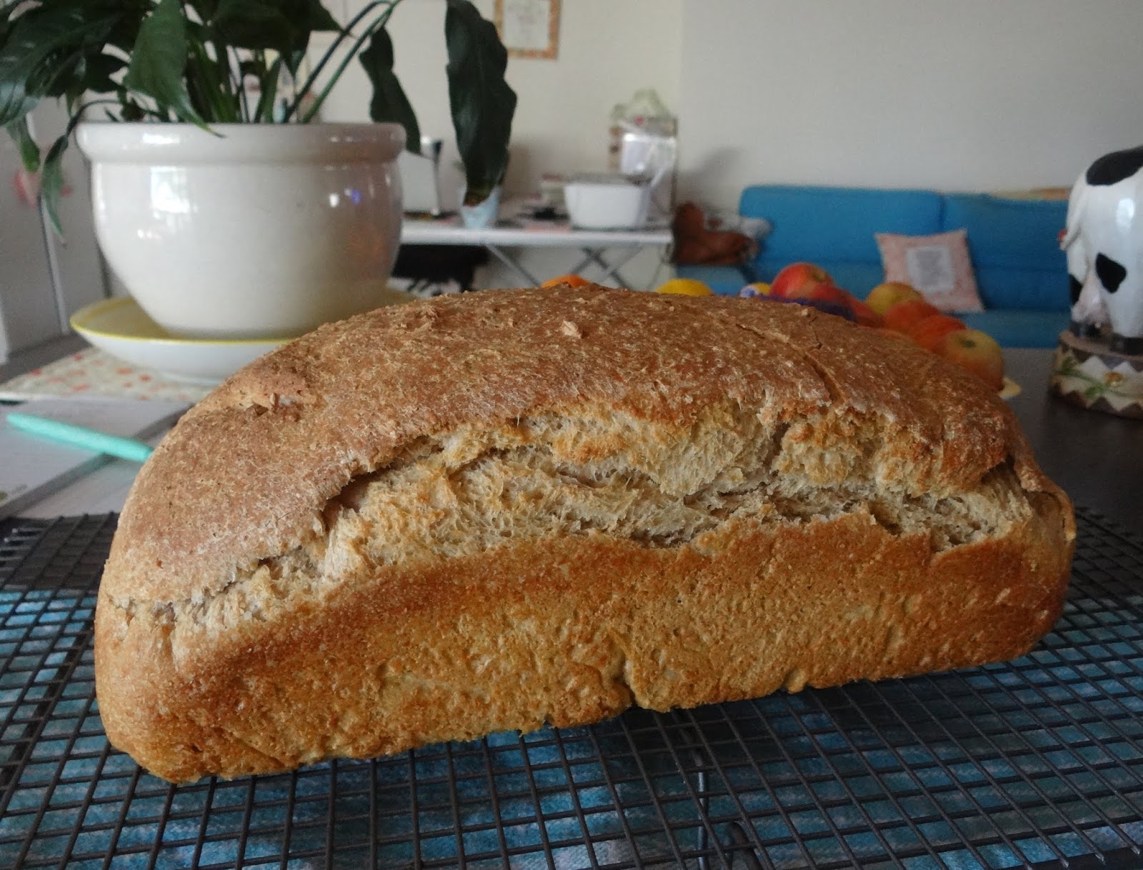 Jenny of ELEFANTZ: The simple ways...