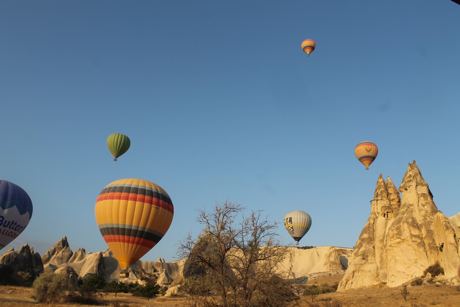Pesona Cappadocia Dari Atas Dengan Balon Udara Di Turki